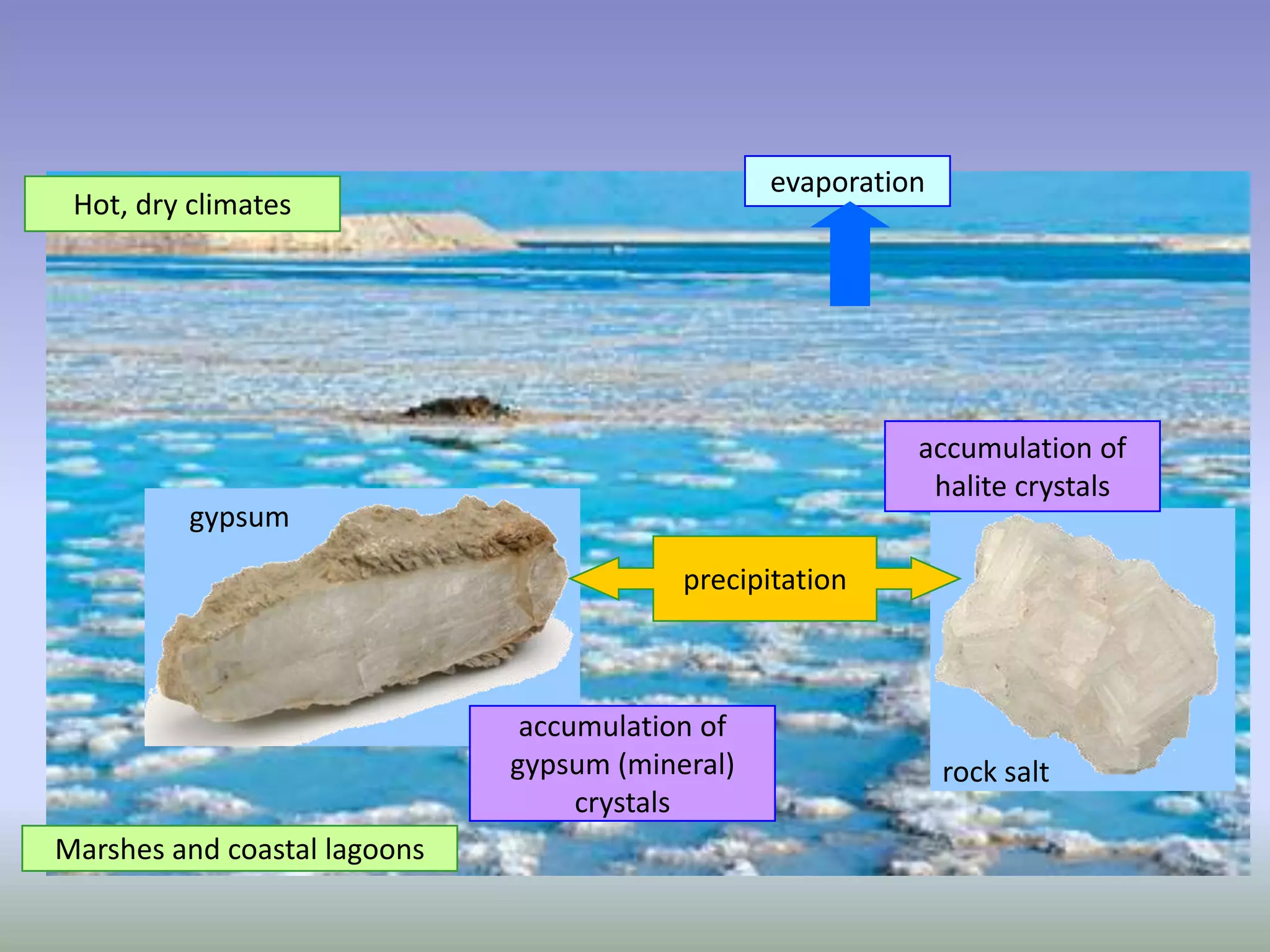 Evaporites | PPTX