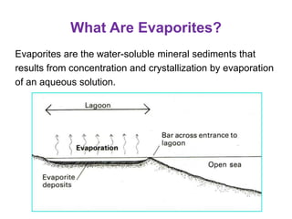 Evaporites | PPTX