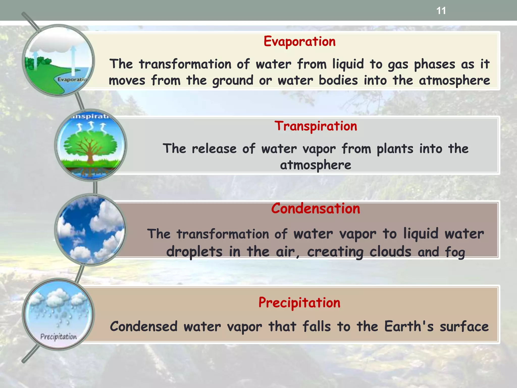 Evapotranspiration | PPTX