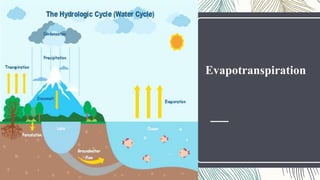 Evapotranspiration | PPTX