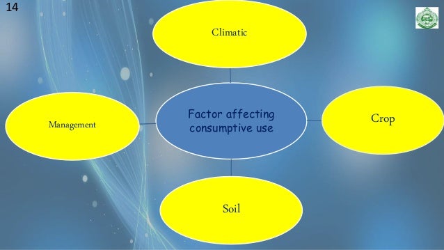 Evapotranspiration & consumptive use