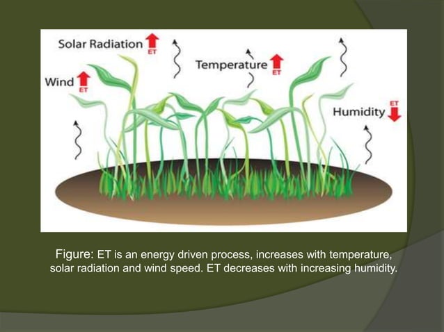 Evapotranspiration ppt | PPT