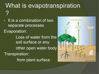 Evapotranspiration Process
