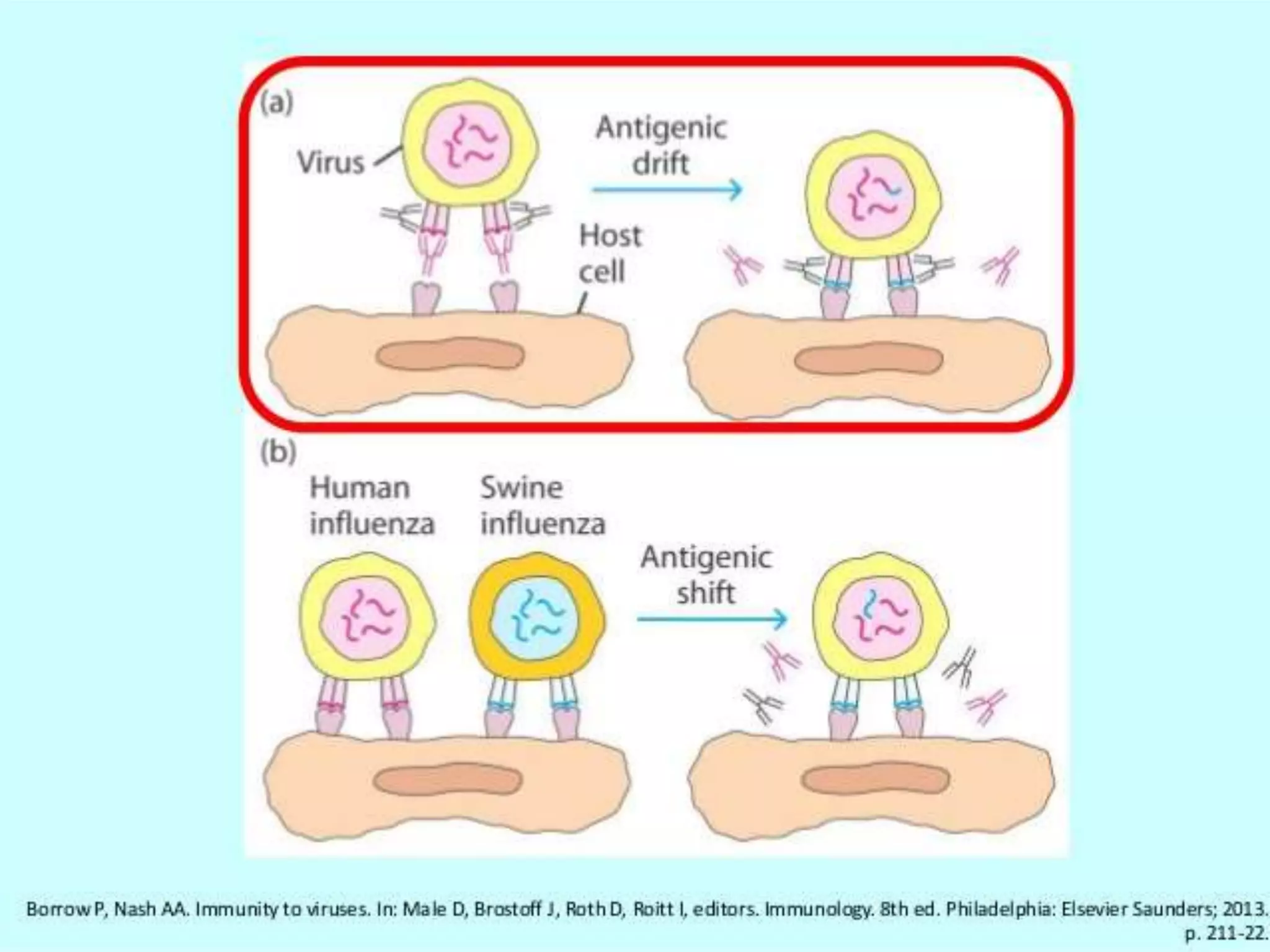 Evasion Mechanism By Virus | PPTX