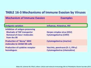 Evasion Mechanism By Virus | PPTX