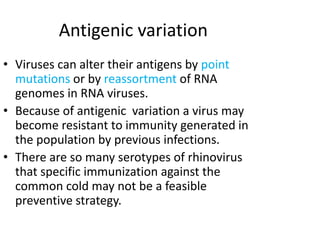 Evasion Mechanism By Virus | PPTX