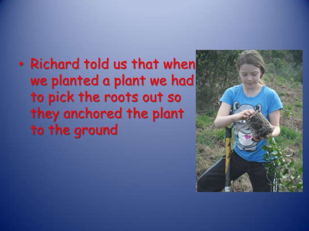 Eva tree planting | PPT
