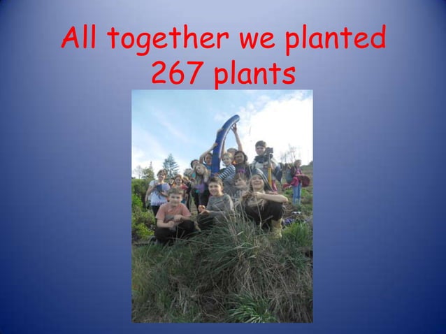 Eva tree planting | PPT