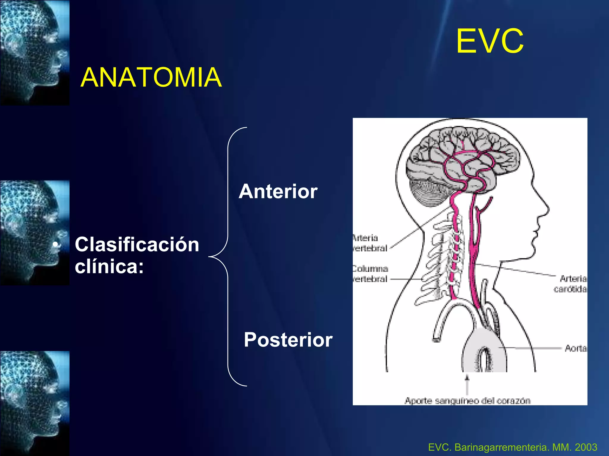 Evc final | PPTX | Brain and Nervous System Disorders | Diseases and Conditions