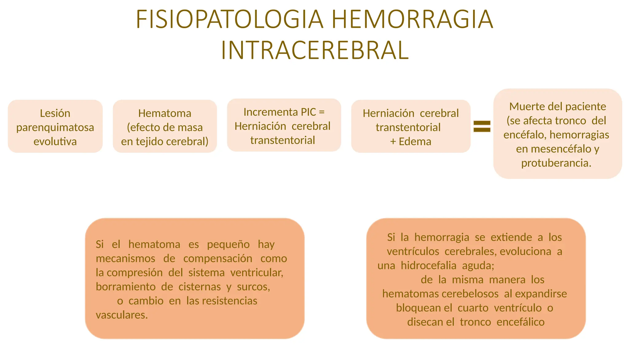 Evento cerebro vascular hemorrágico descripción | PPT