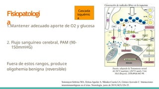 evento vascular cerebral de origen isquemico | PPTX