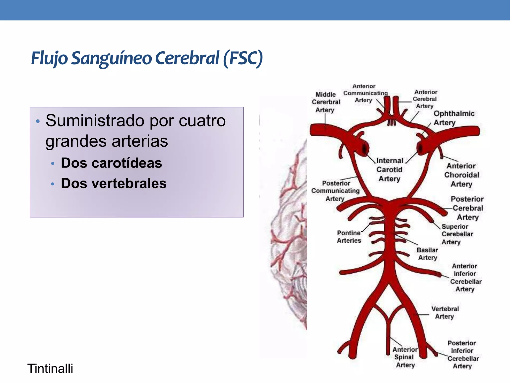 Evc isquemico | PPTX