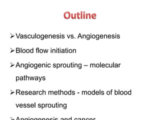 Early Vascular Development | PPT