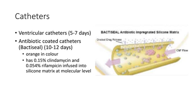 External Ventricular Drain (EVD) | PPTX