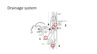 External Ventricular Drain (EVD) | PPTX