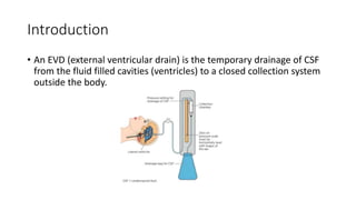 External Ventricular Drain (EVD) | PPTX