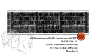 Development hos of an Evidence-based Care | PPTX