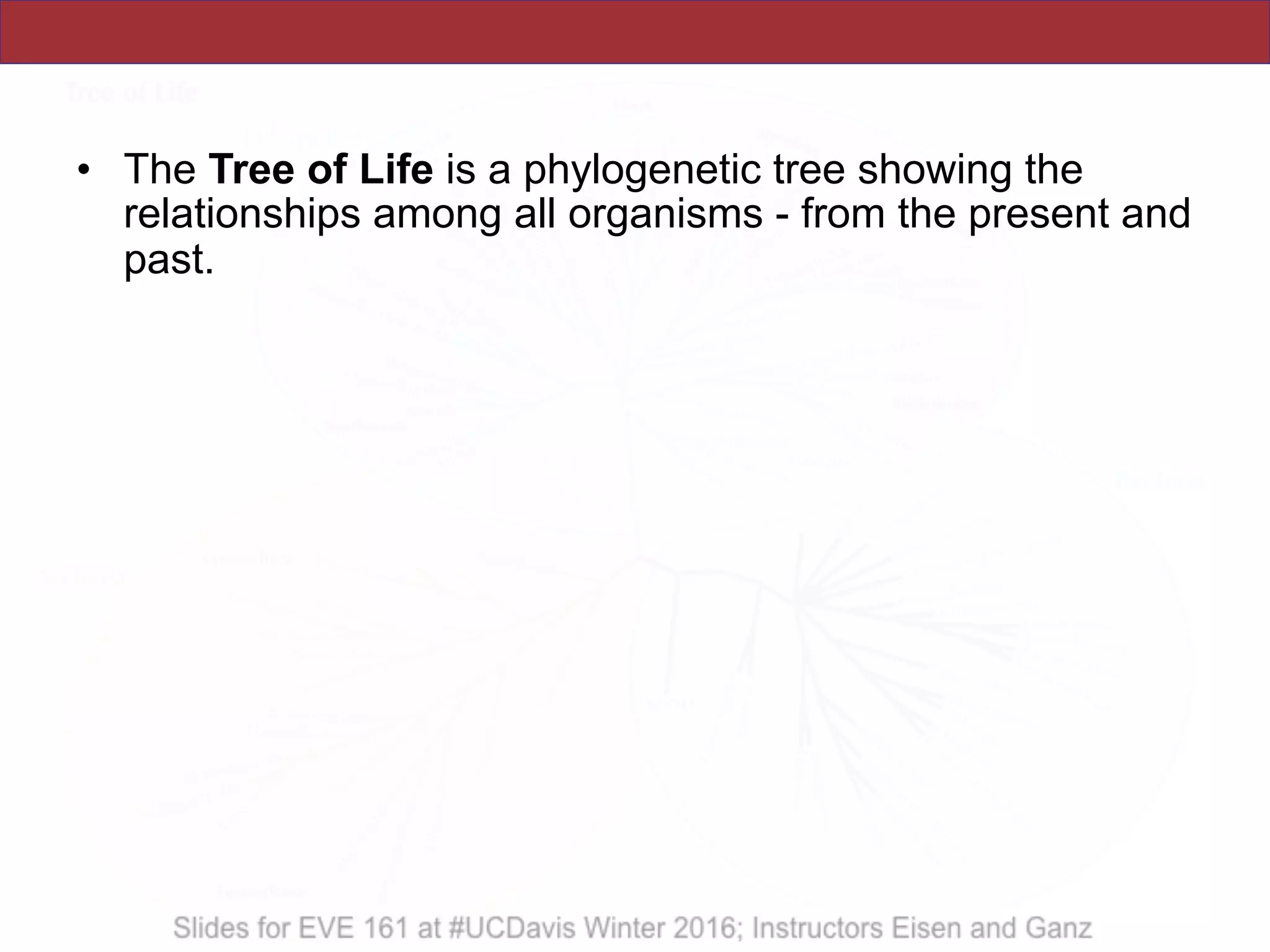 Microbial Phylogenomics (EVE161) Class 3: Woese and the Tree of Life | PDF