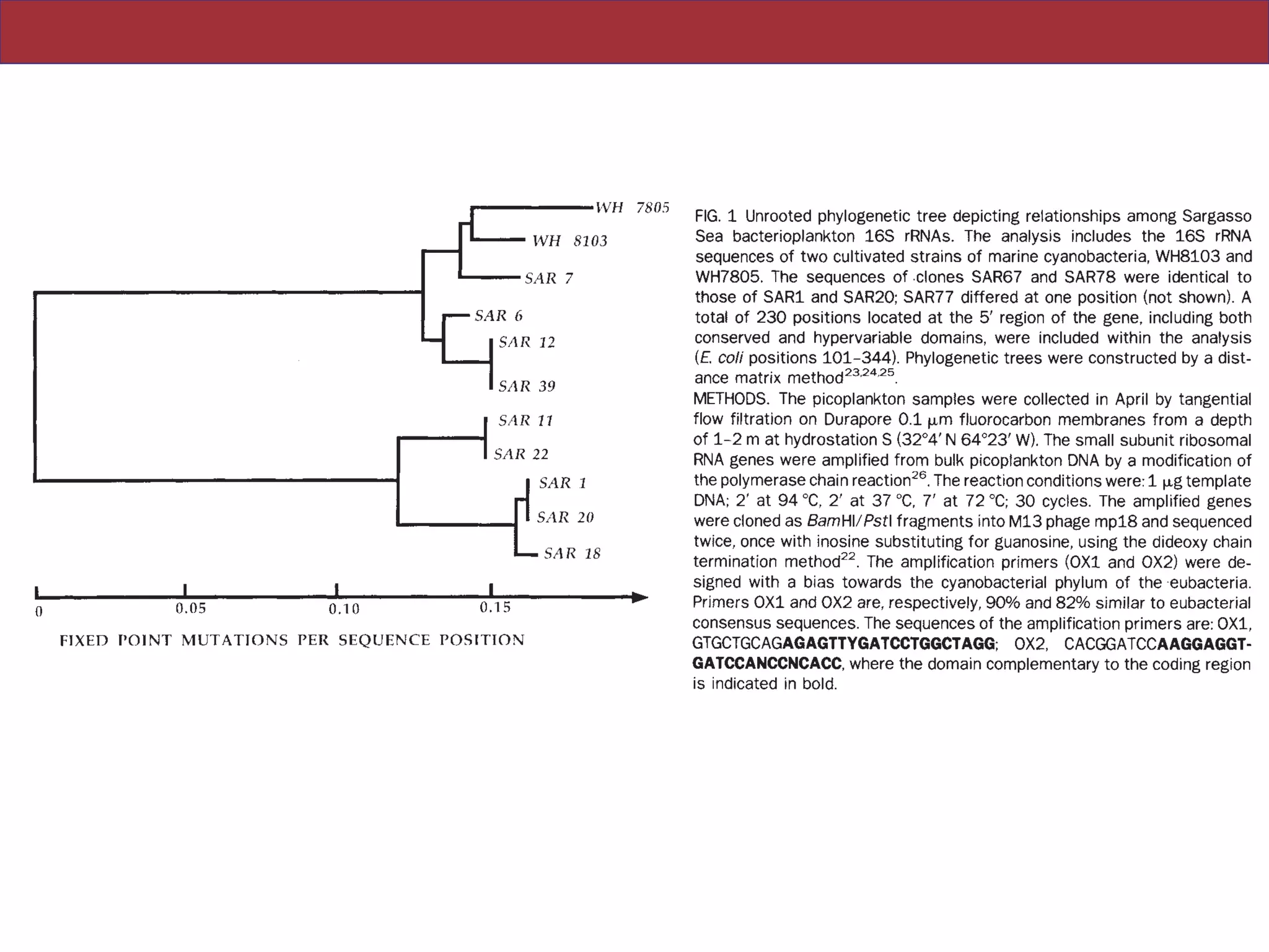 Microbial Phylogenomics (EVE161) Class 15: Shotgun Metagenomics | PPT