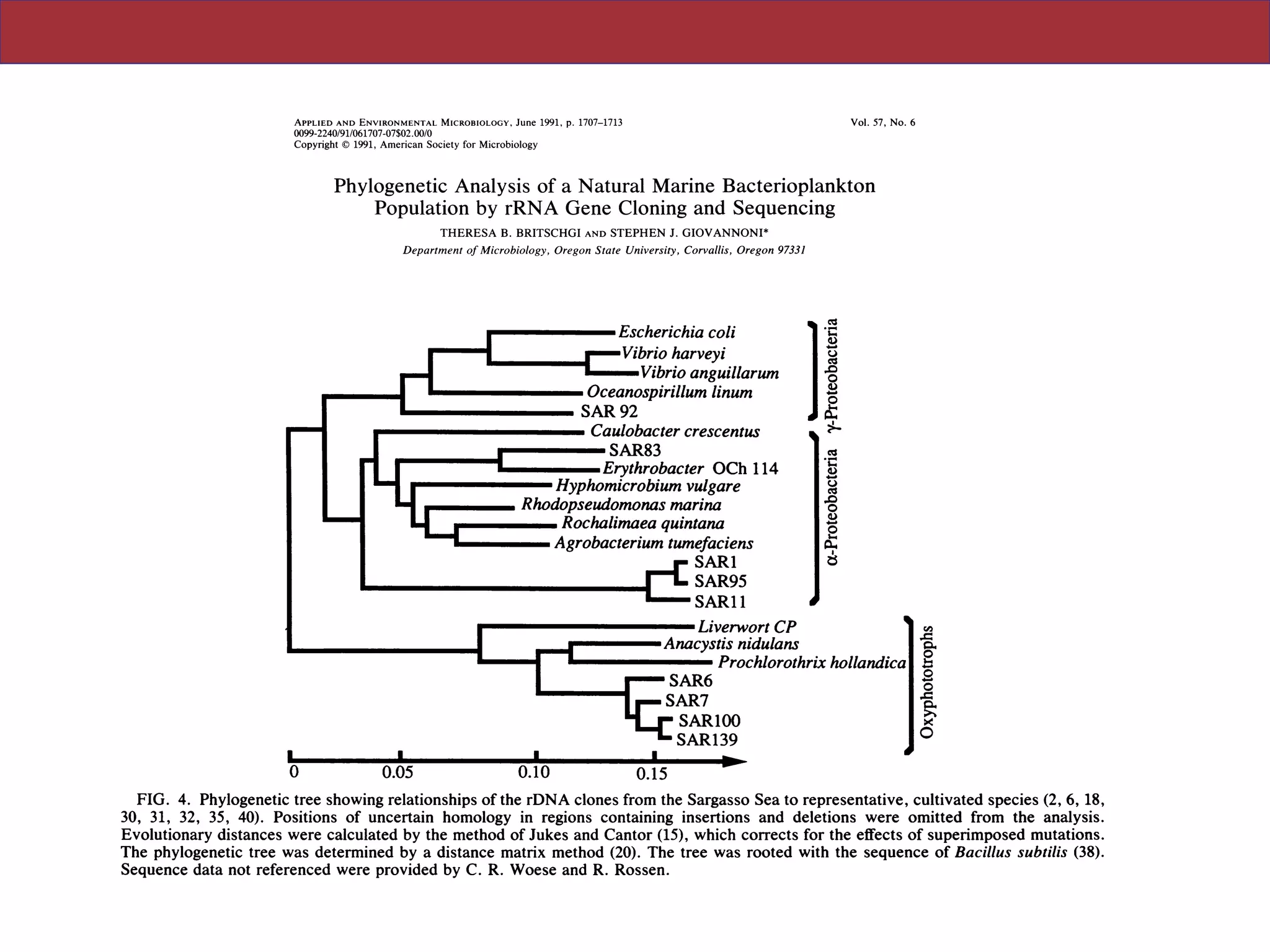 Microbial Phylogenomics (EVE161) Class 15: Shotgun Metagenomics | PPT