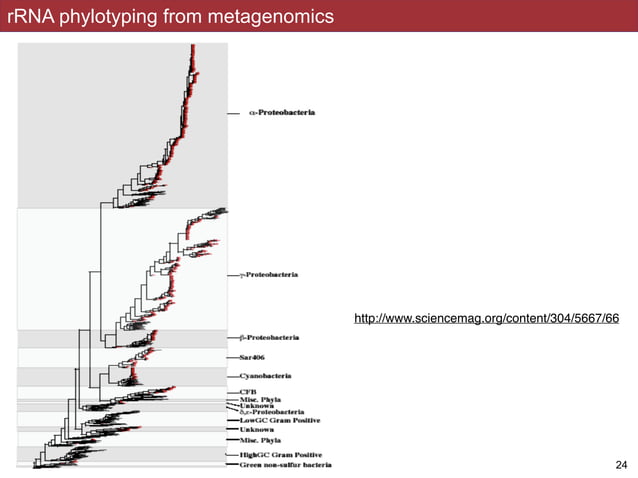 Microbial Phylogenomics (EVE161) Class 15: Shotgun Metagenomics | PPT