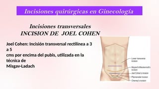 anatomia pared abdominal medicina obstetricia | PPTX