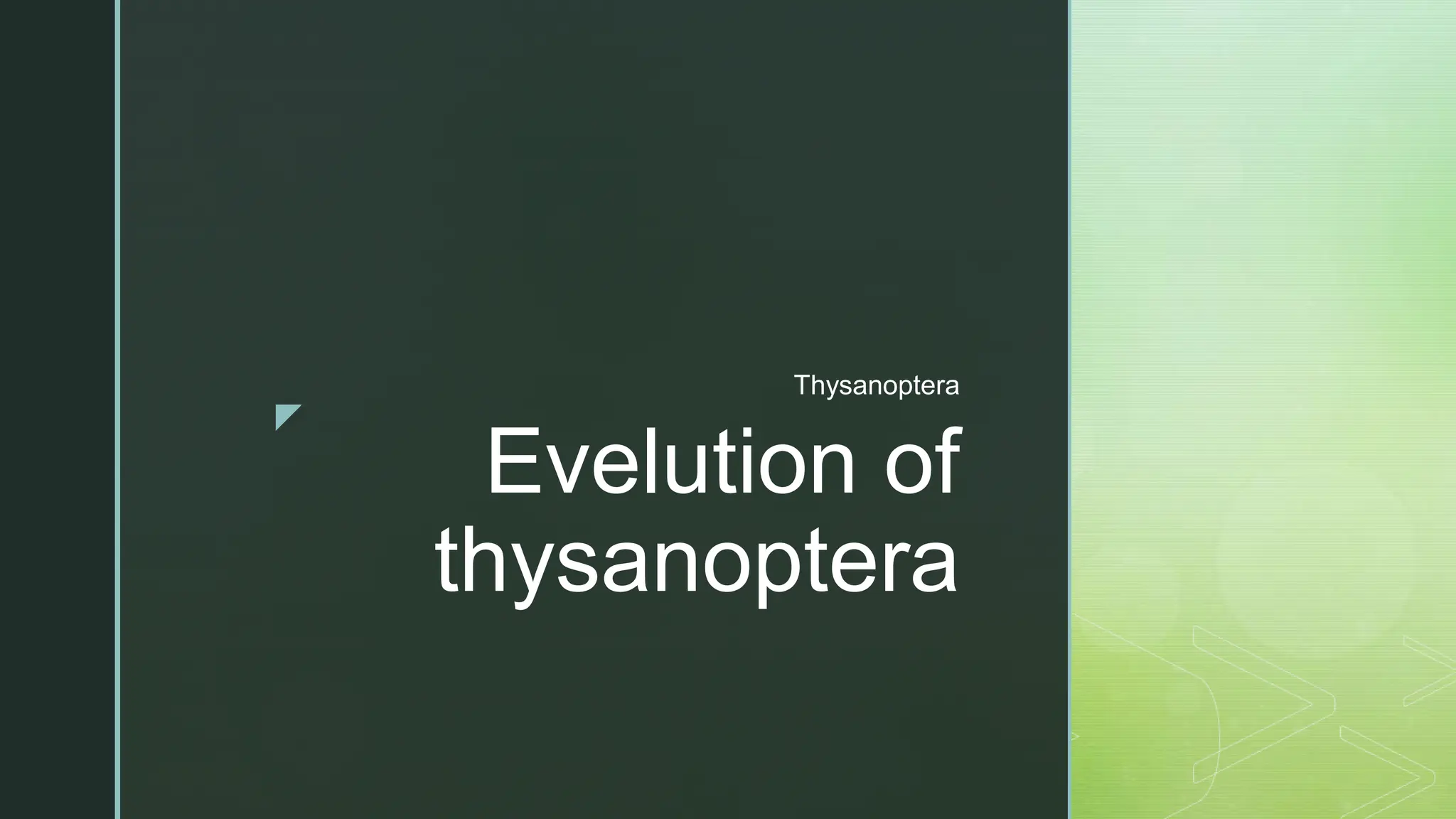 evelution of thysanoptera.pptx class 10. | PPTX