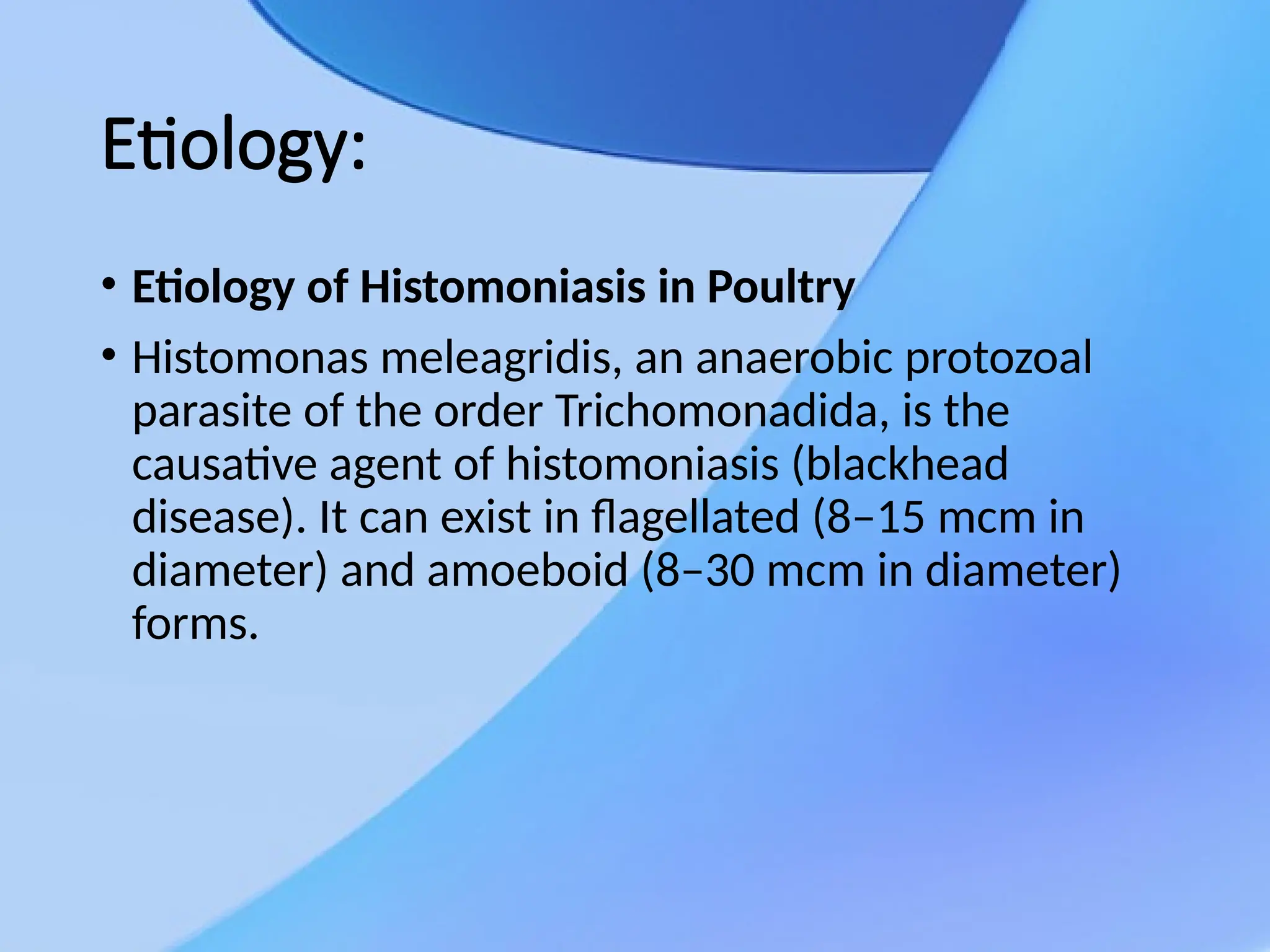 black head diseases or HISTOMONIASIS.pptx