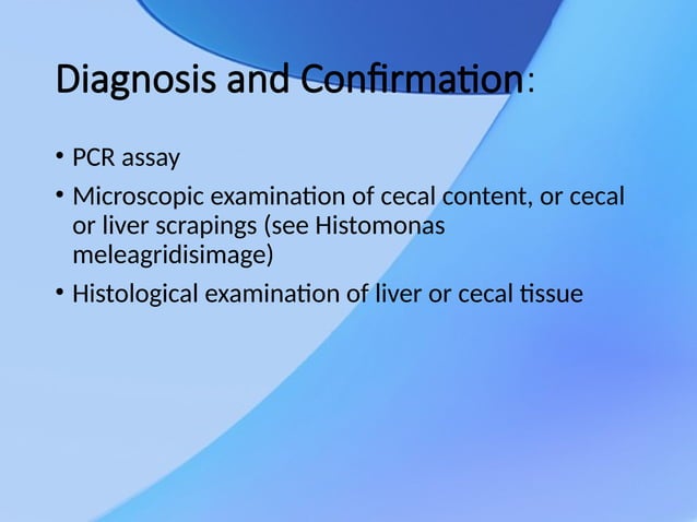 black head diseases or HISTOMONIASIS.pptx