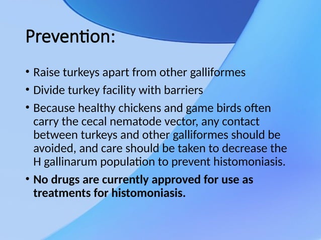 black head diseases or HISTOMONIASIS.pptx