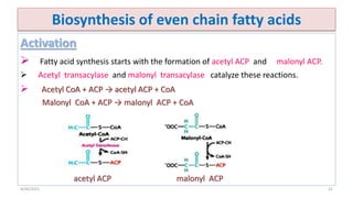 Even and odd number of fatty acids | PPTX