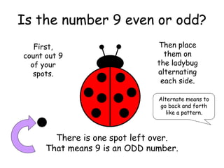 Even and odd numbers with ladybugs | PPT