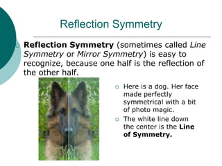 Even and off functions basic presentation with questions 2 | PPT