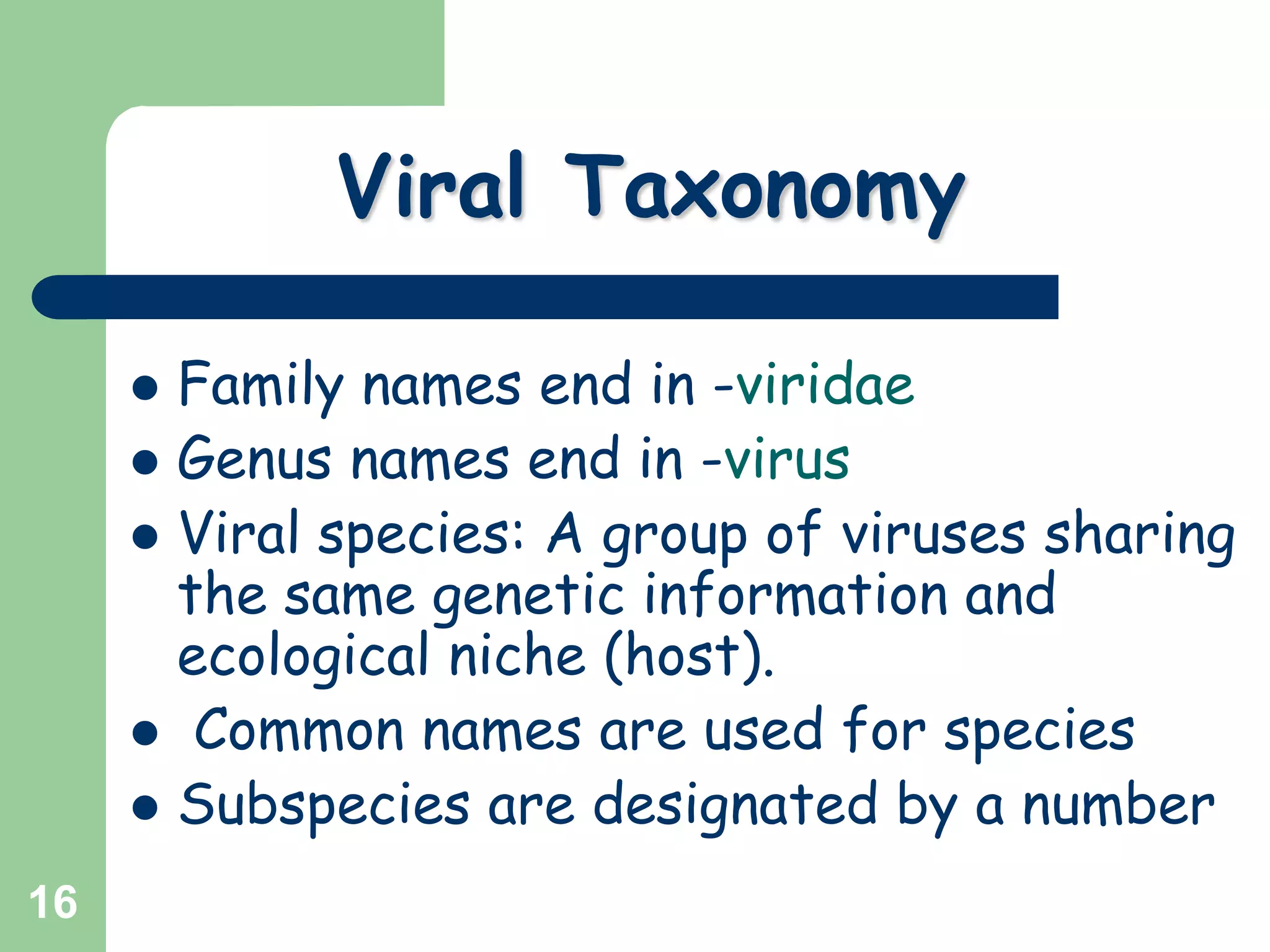 virus powerpoint | PPTX