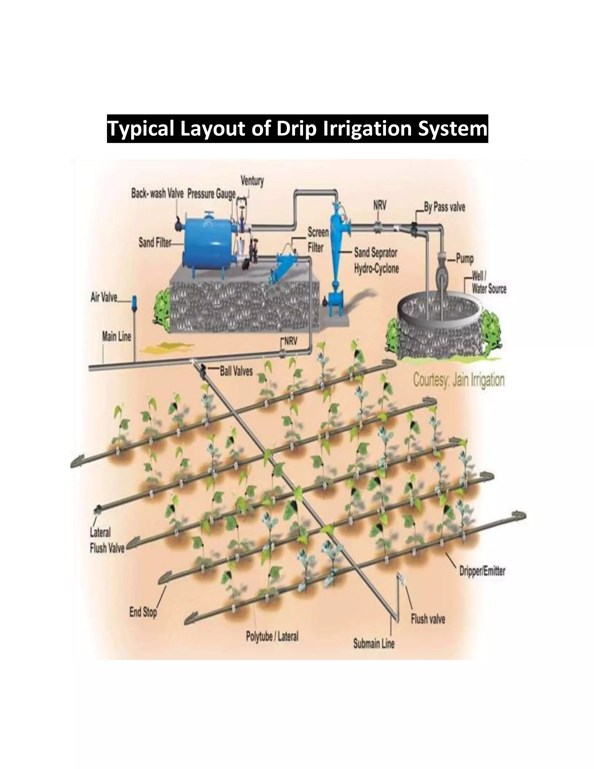 Drip Irrigation | DOCX