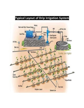 Drip Irrigation | DOCX | Agriculture | Industries