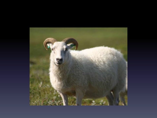 Event Medical Plan Workshop | PPT