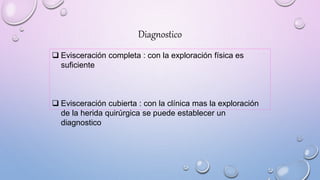 Eventración y evisceracion.pptx
