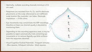 Event Related Potentials | PDF