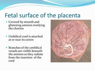 EVENTS IN THE THIRD STAGE OF LABOUR.pptx