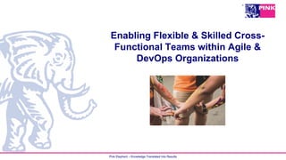 Enabling Flexible & Skilled Cross-Functional Teams within Agile ...
