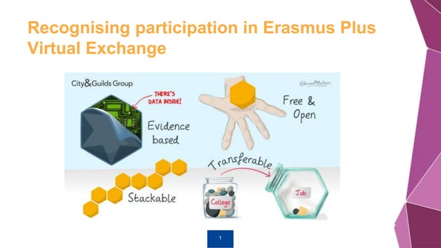 Erasmus Plus Virtual Exchange recognition system | PPTX | Education