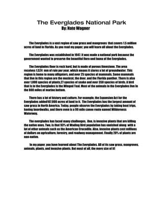 Everglades | PDF