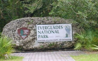 Everglades | PPT