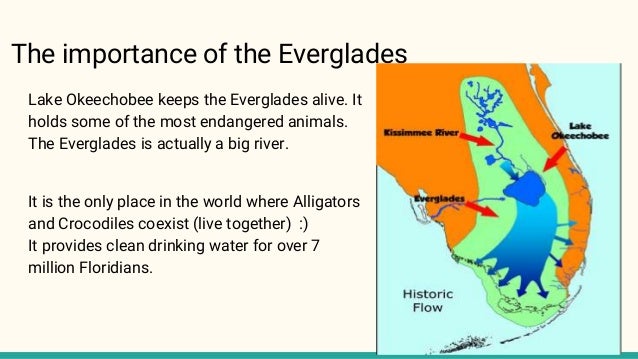 Everglades Information
