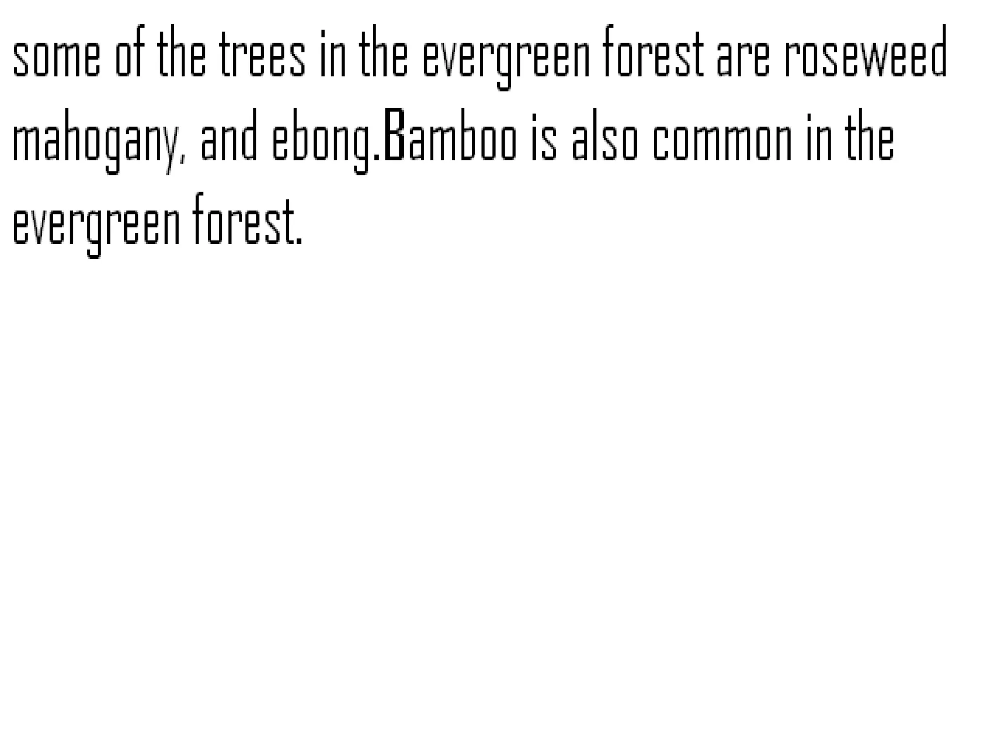 Evergreen forest | PPT