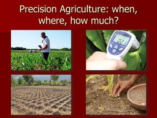 Tree-Crop Interactions | PPTX