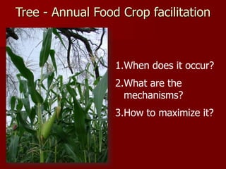 Tree-Crop Interactions | PPTX