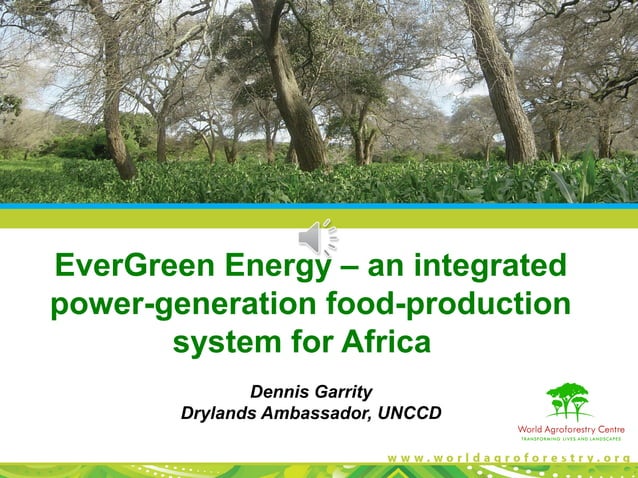Ever green energy | PPT
