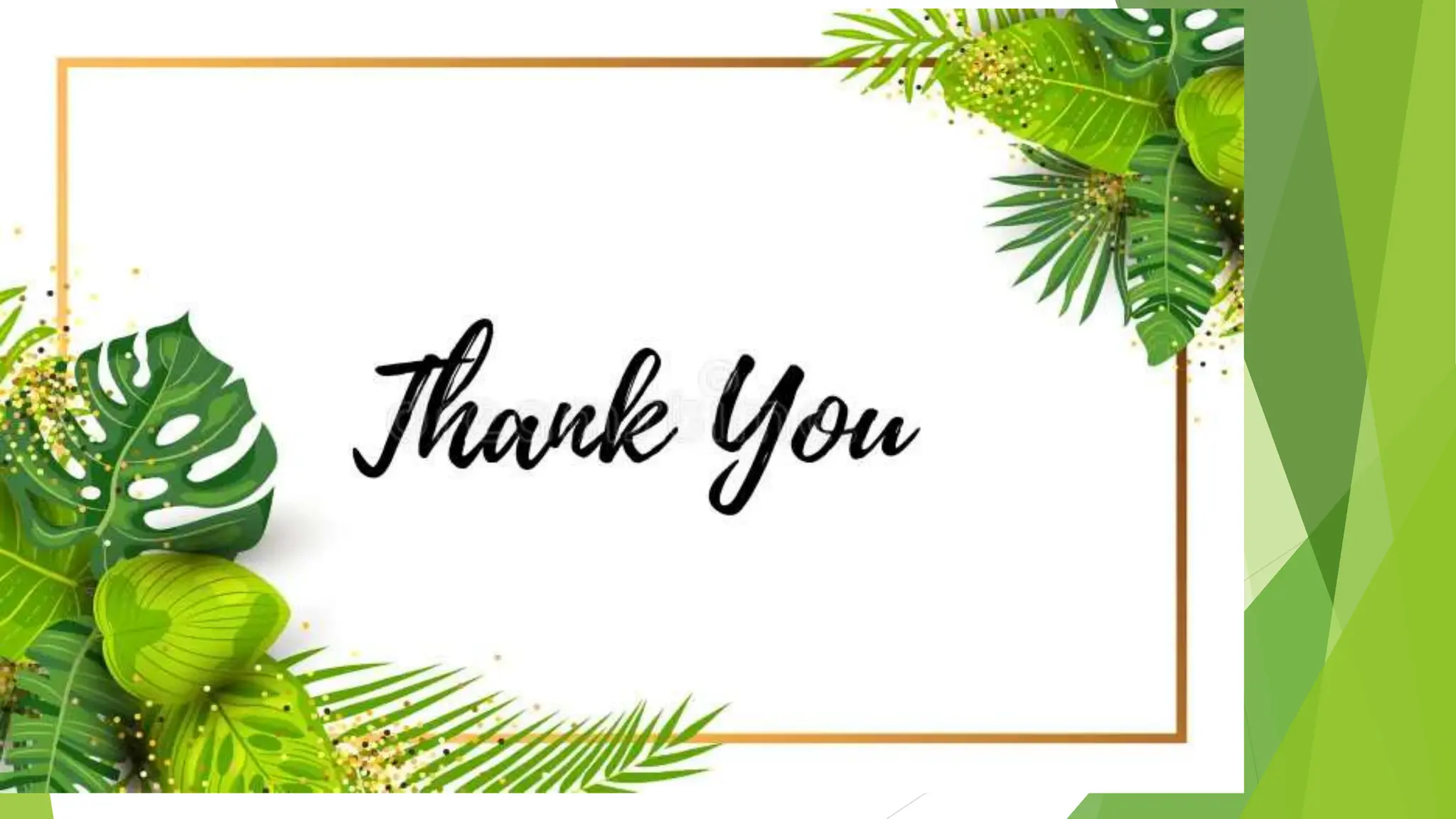 EVERGREEN LIBRARY MANAGEMENT SOFTWARE | PPTX